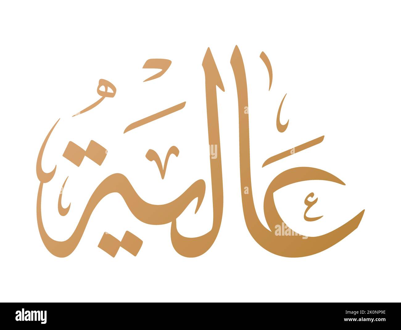 Alyah Name Arabic Calligraphy Vector Design Translation Alyah Stock Vector Image Art Alamy alyah-name-arabic-calligraphy-vector-design-translation-alyah-stock-vector-image-art-alamy