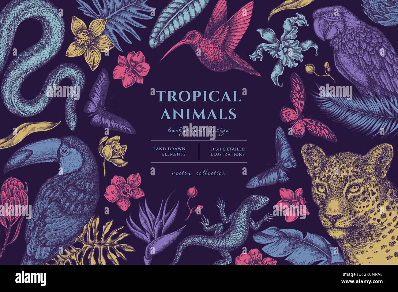 Tropical animals hand drawn illustration design. Background with ...