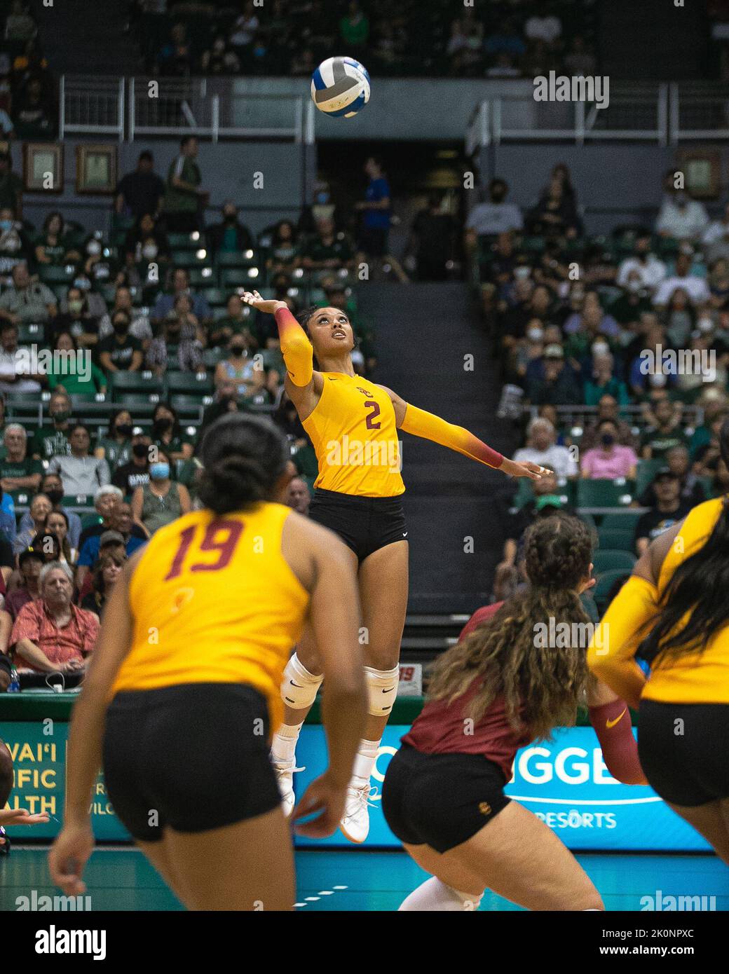 Uscvolleyball hi-res stock photography and images - Alamy