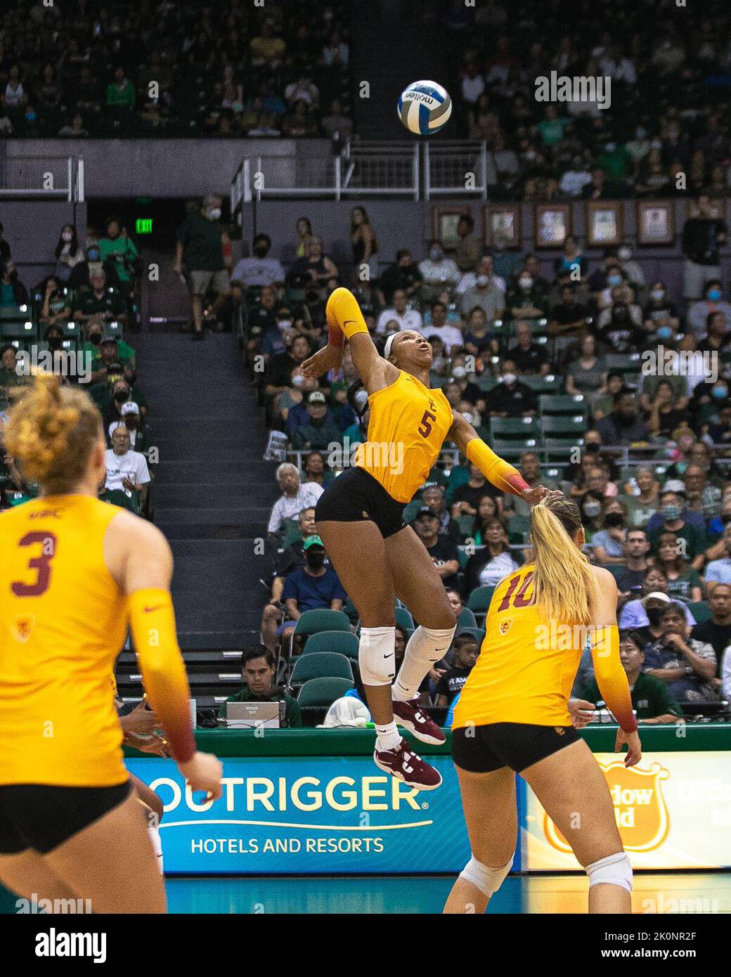 20220912 hi-res stock photography and images - Alamy