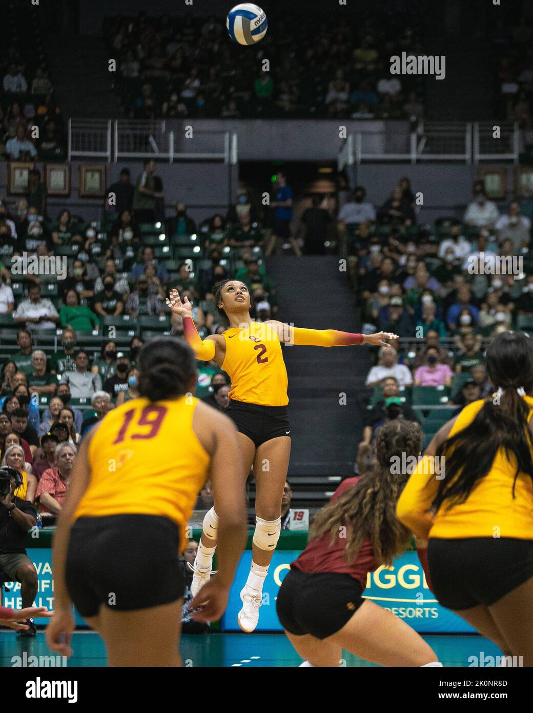 Honolulu, Hawaii. September 10, 2022 - USC outside hitter Jordan Wilson ...