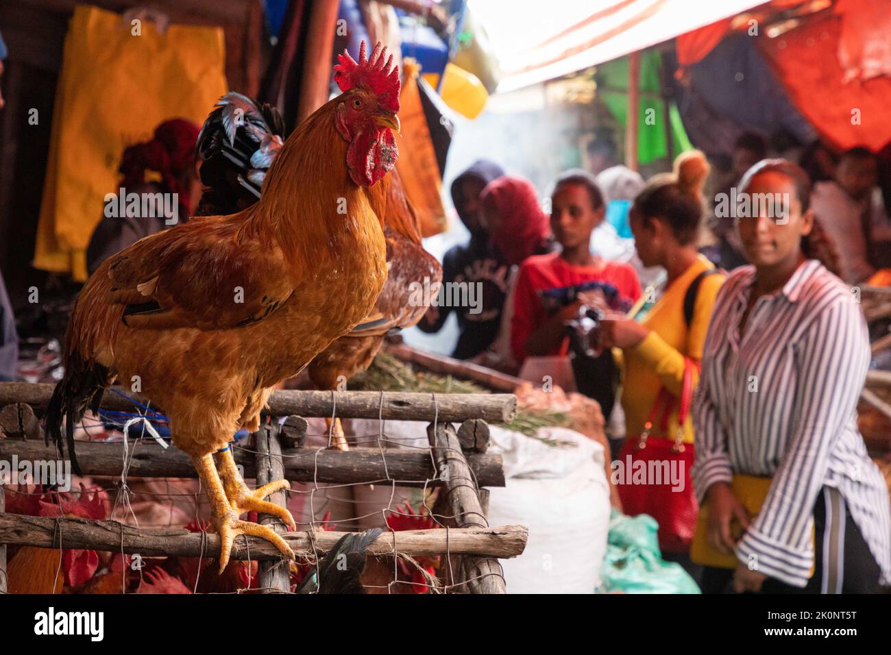 Shola market addis ababa ethiopia hi-res stock photography and images ...