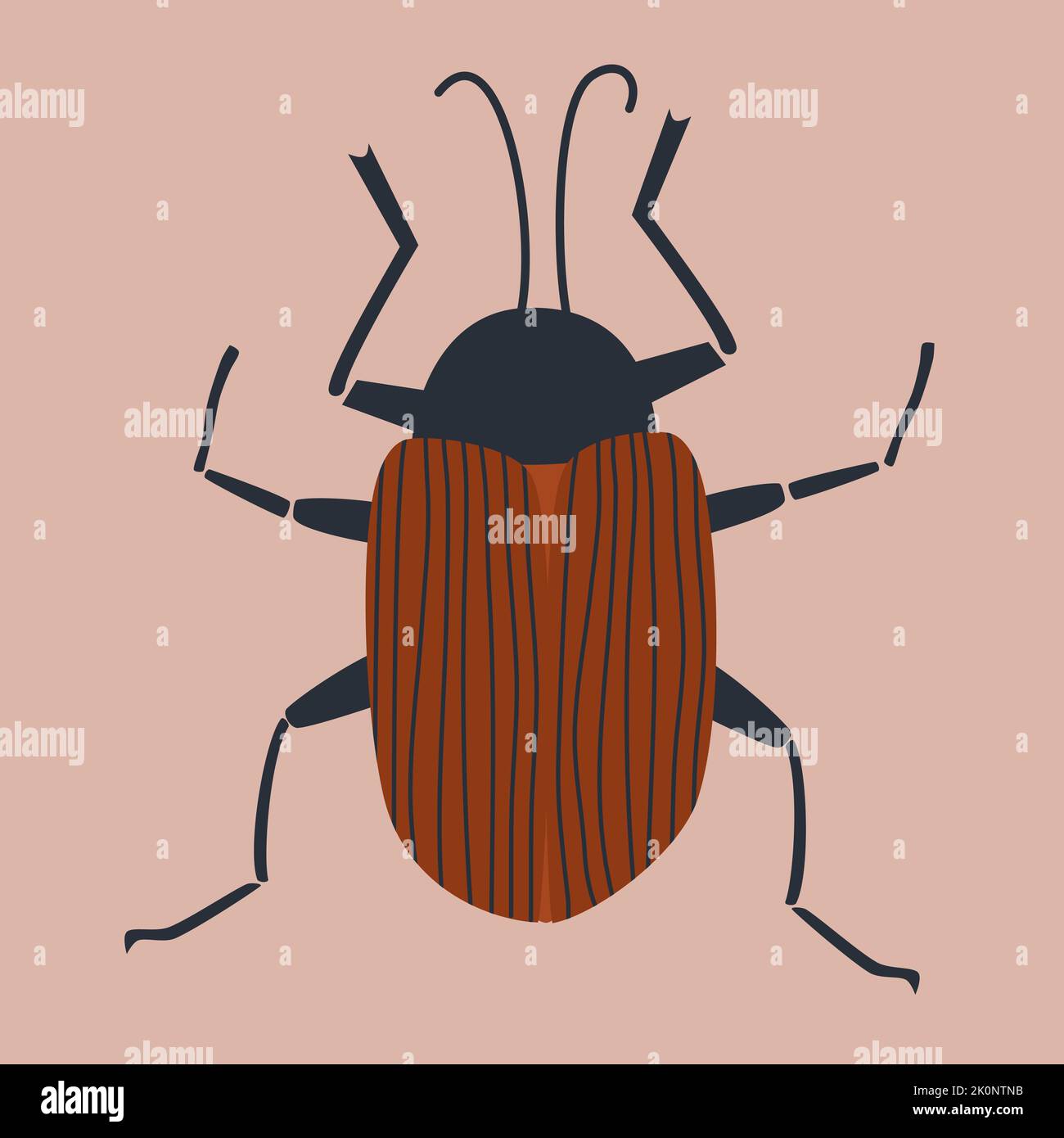 Cute boho vector art design with bohemian beetle insect hand drawn ...