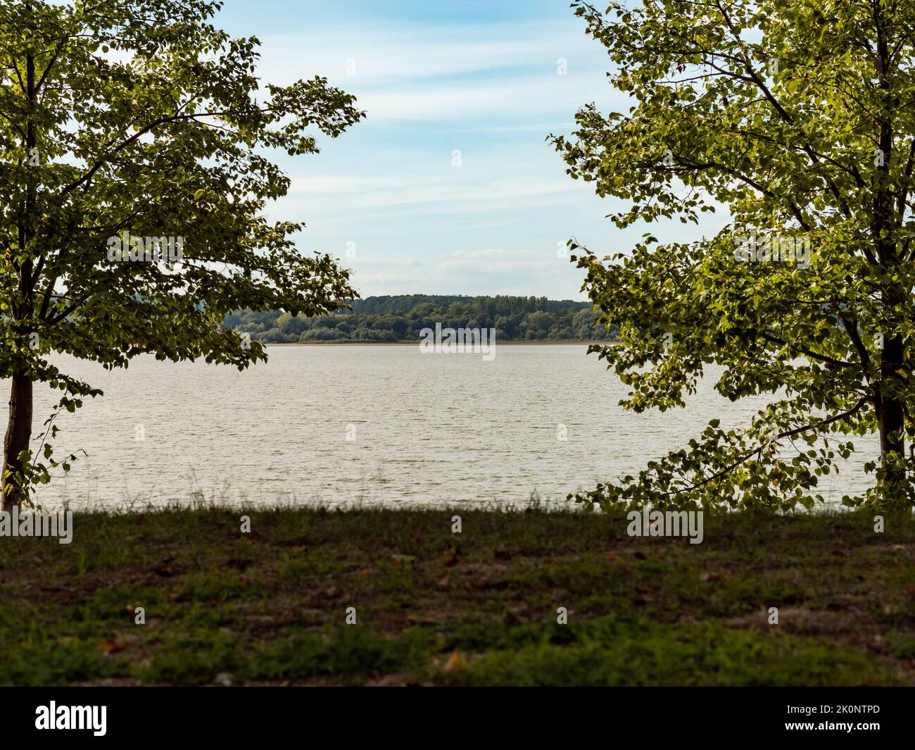 Lake landscape in between two trees. Looking over a lake during the ...