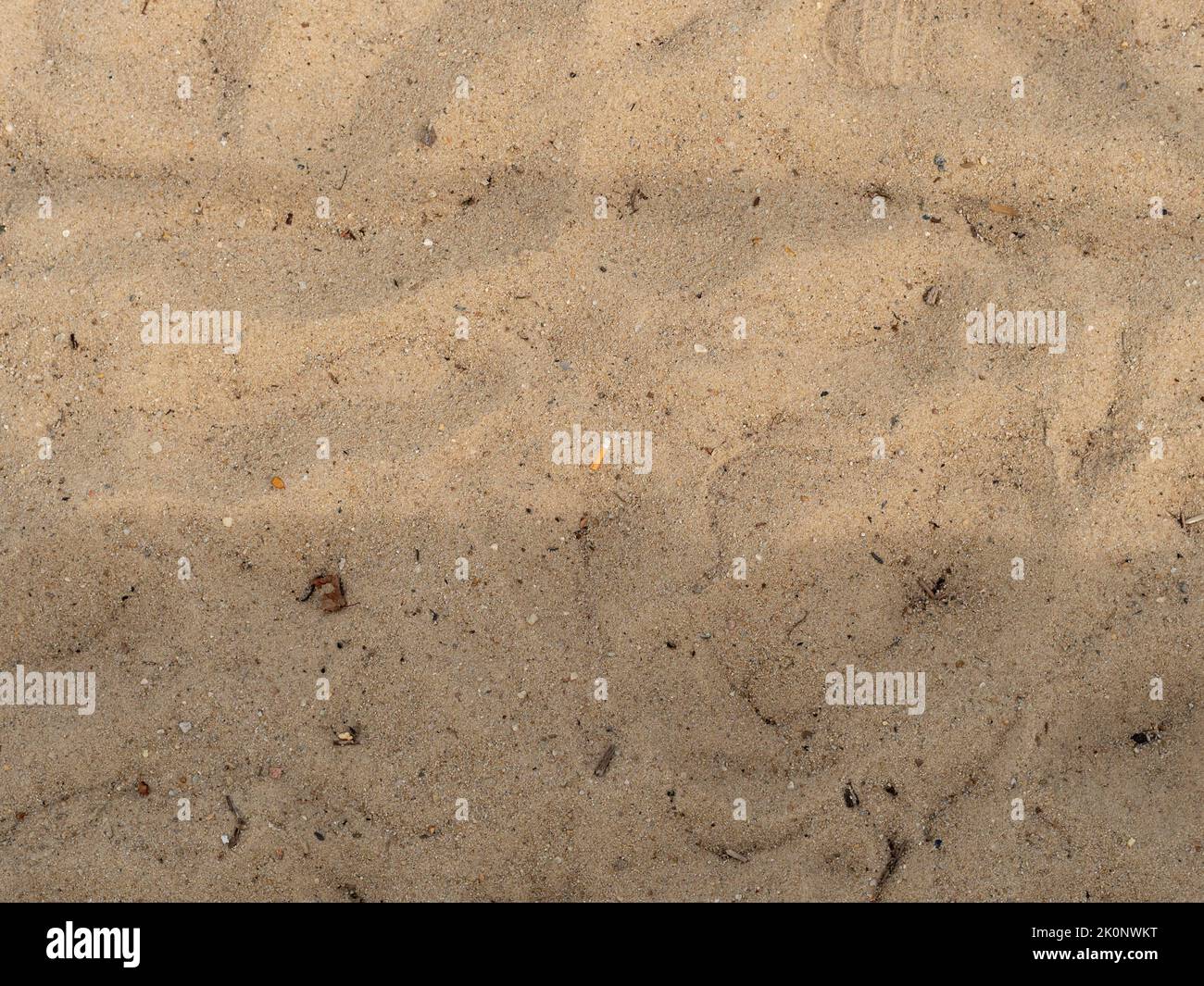 Cigarette butt in the sand of a bathing beach. Waste from an ignorant ...