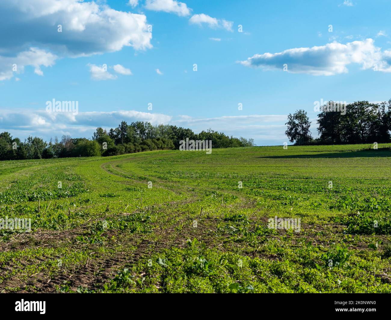 Empty green field landscape hi-res stock photography and images - Alamy