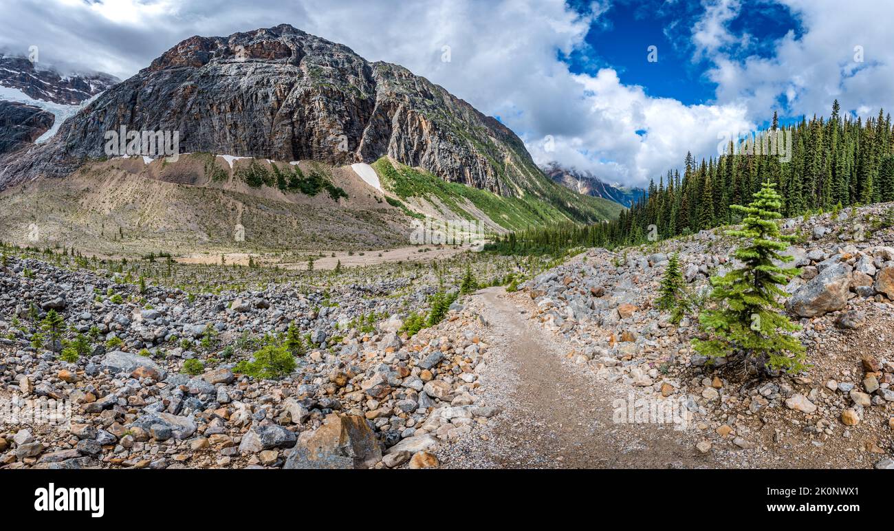 The Glacier Trail at Mt. Edith Cavell in Jasper National Park, Alberta ...