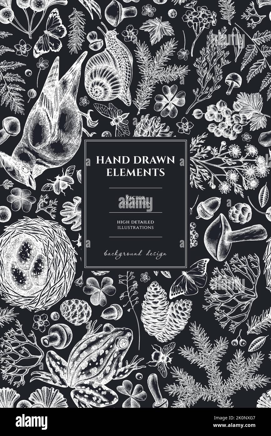 Mysterious forest pattern card design. Hand drawn waxwing, snail, nest ...