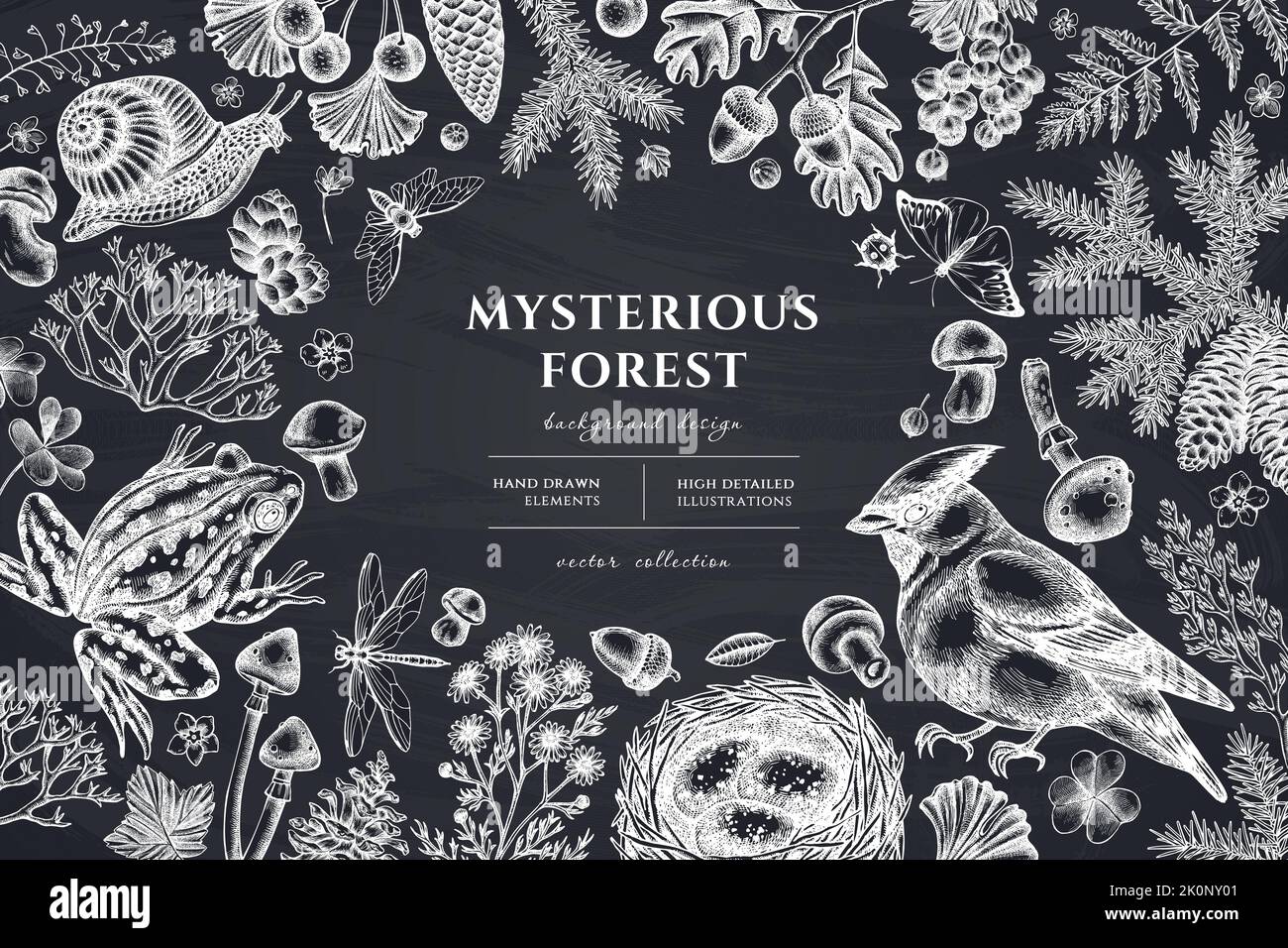 Mysterious forest hand drawn illustration design. Background with chalk ...