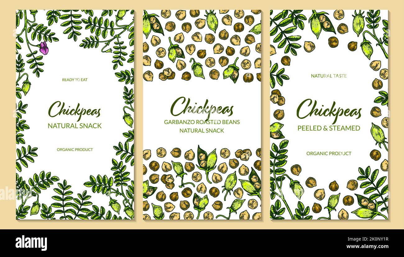 Set of colorful vertical chickpeas designs. Hand drawn illustration in ...
