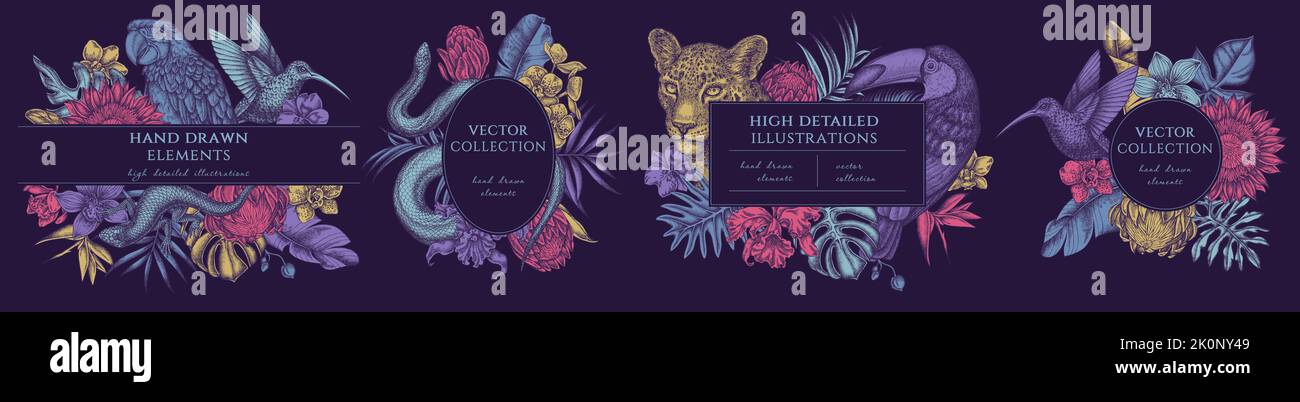 Tropical animals hand drawn frame templates. Vintage illustrations of ...
