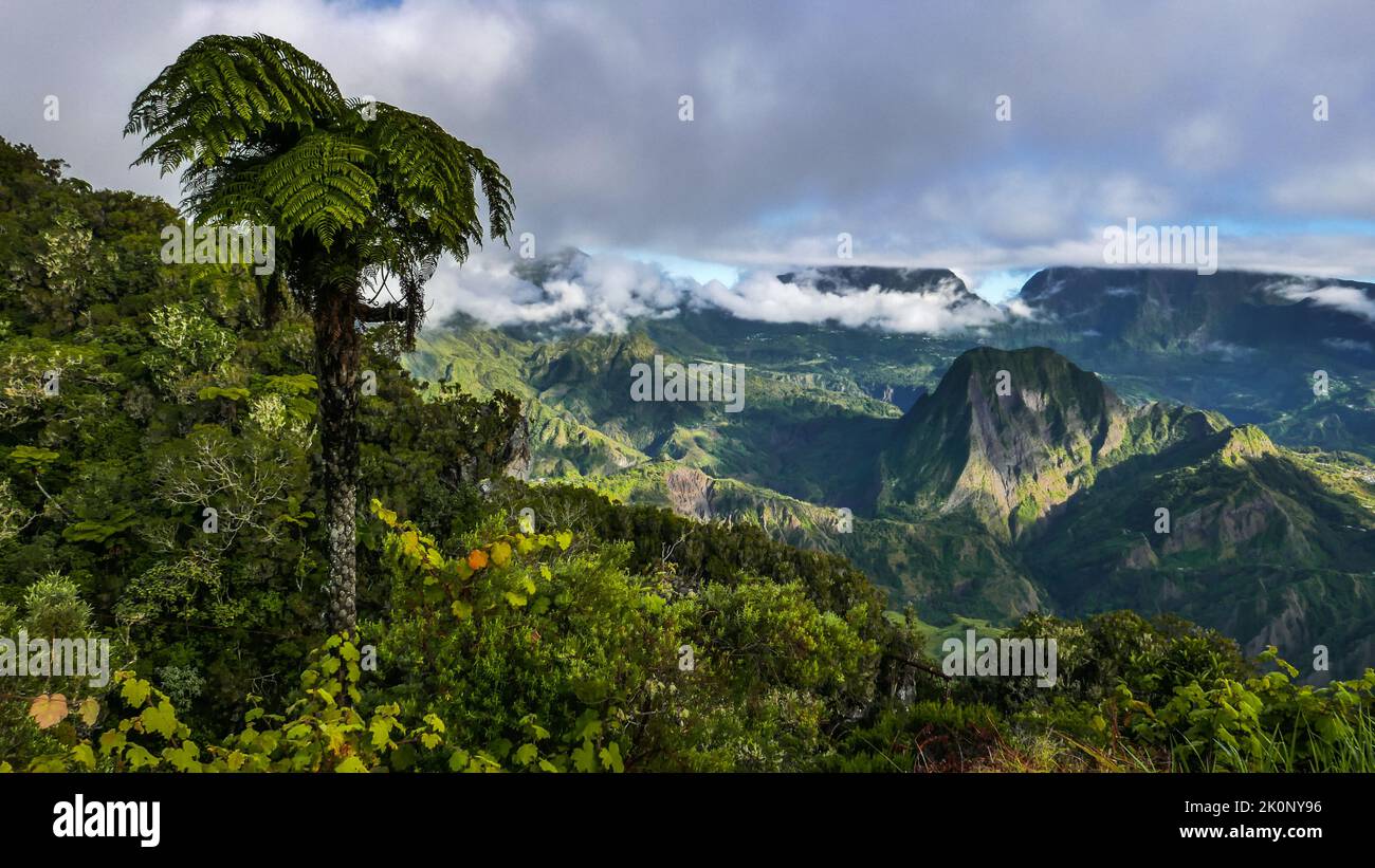 Department of reunion hi-res stock photography and images - Alamy
