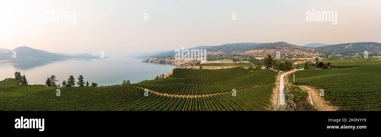 Naramata vineyard cycling hi-res stock photography and images - Alamy
