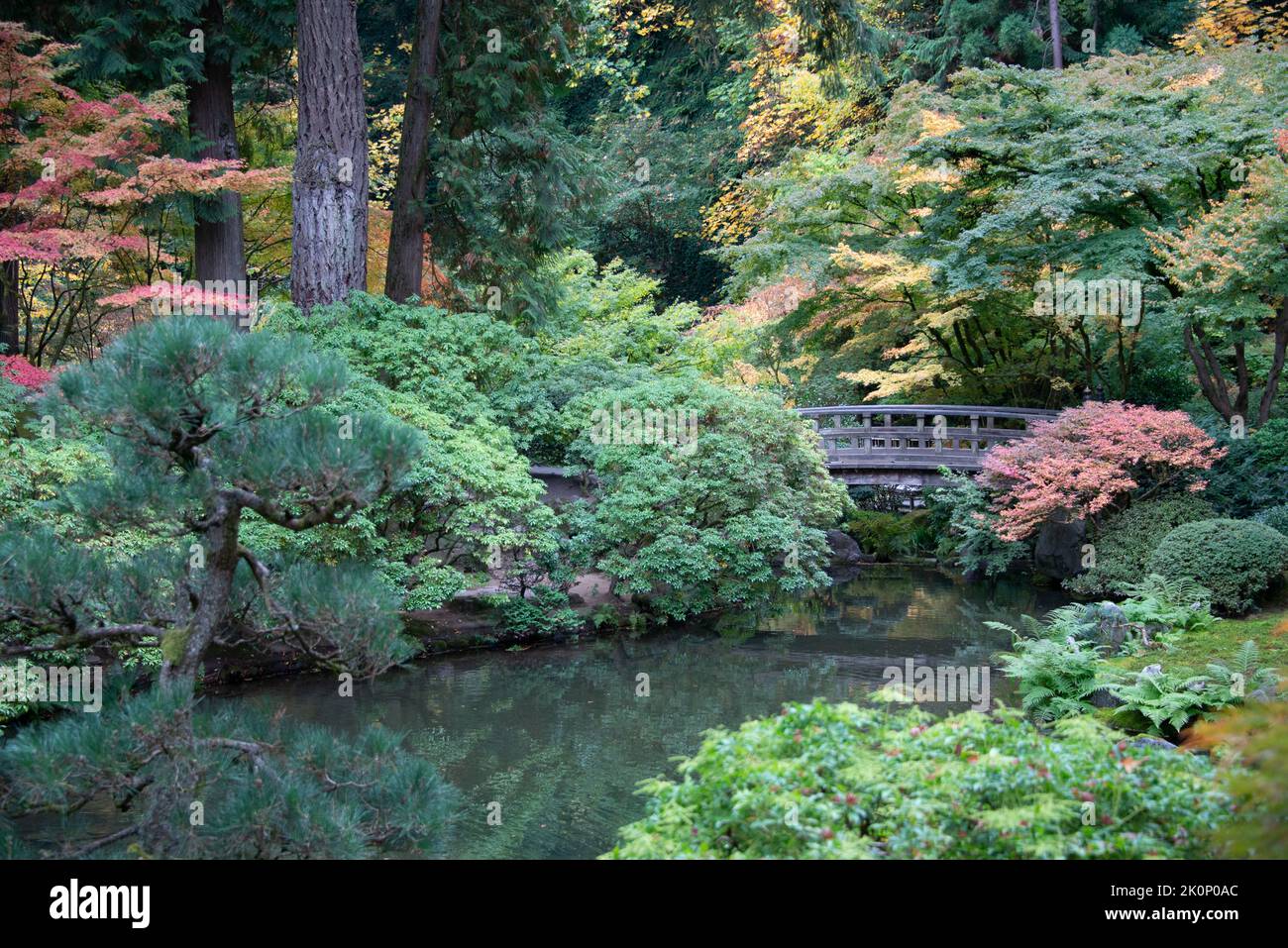 Portland japanese gardens bridge hi-res stock photography and images - Alamy