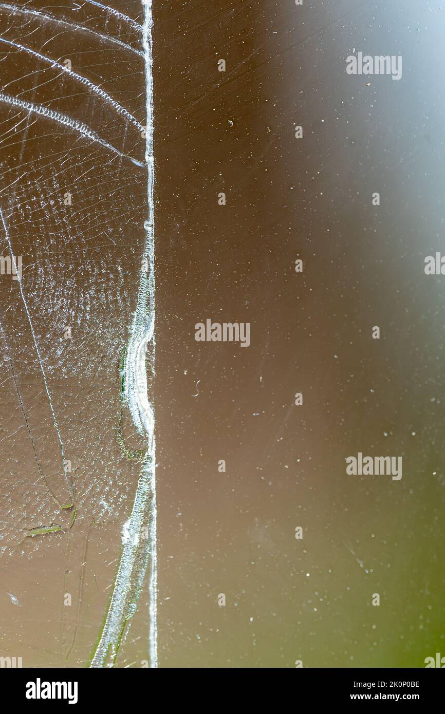 Strip of tape adhesive on a glass surface after being pulled Stock ...