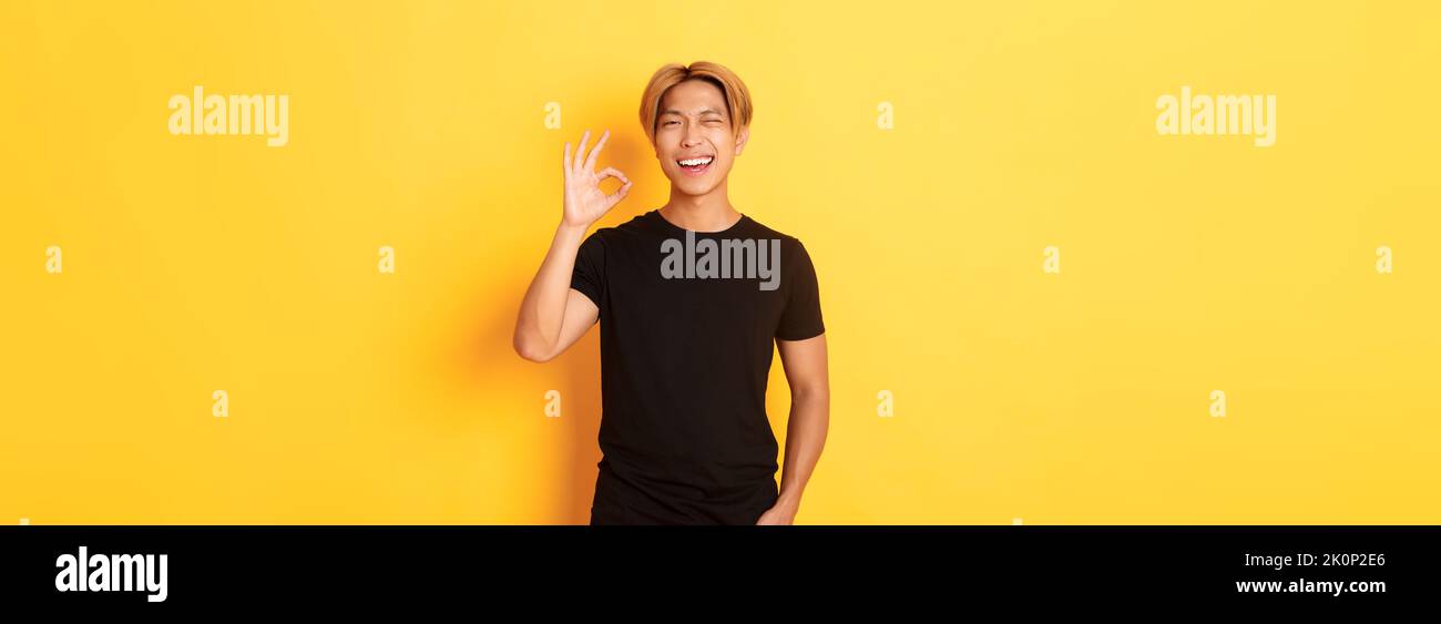 Portrait of satisfied and happy asian smiling guy, showing okay gesture ...