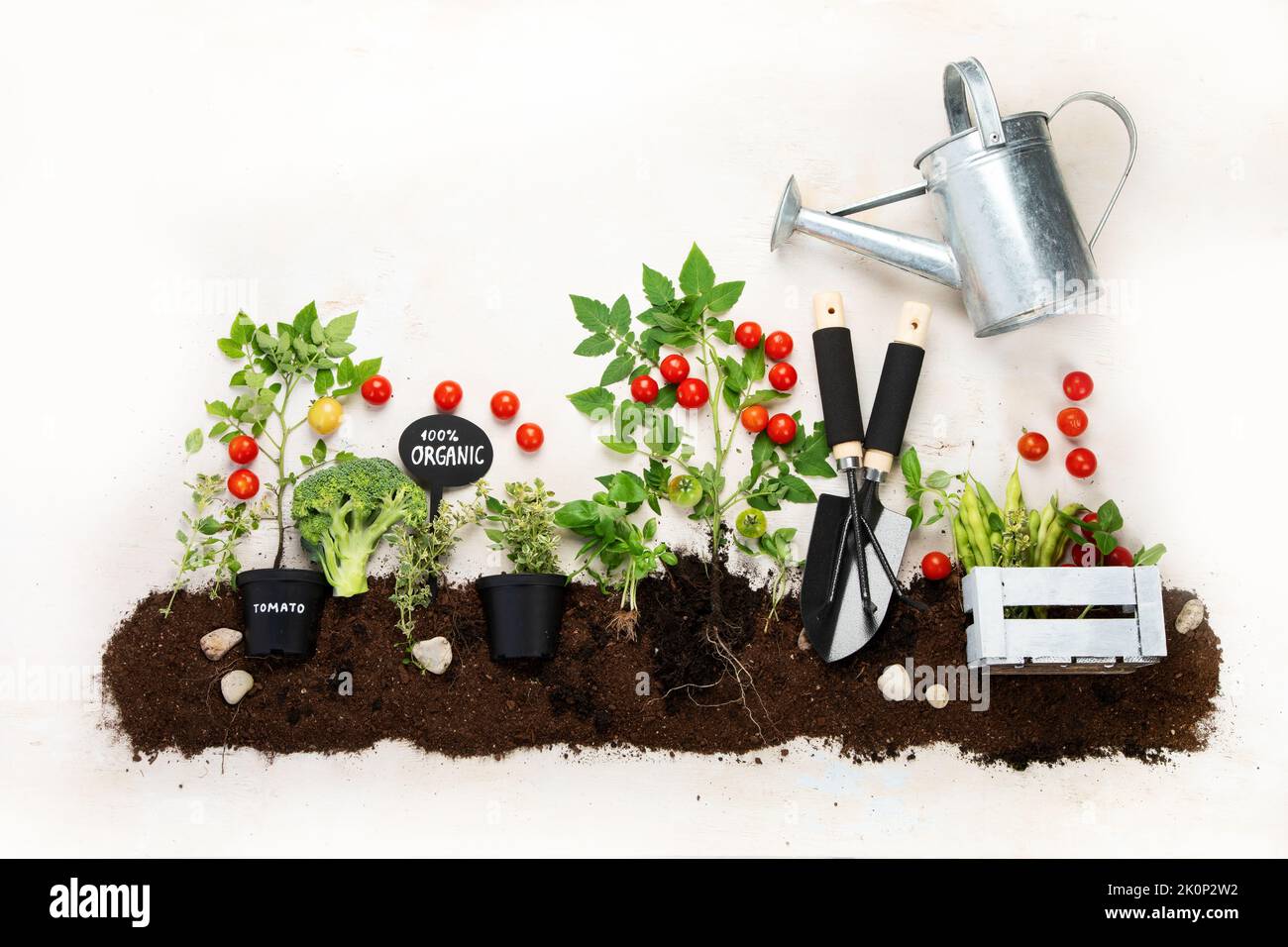 Springtime gardening composition on neutral background. Organic ...