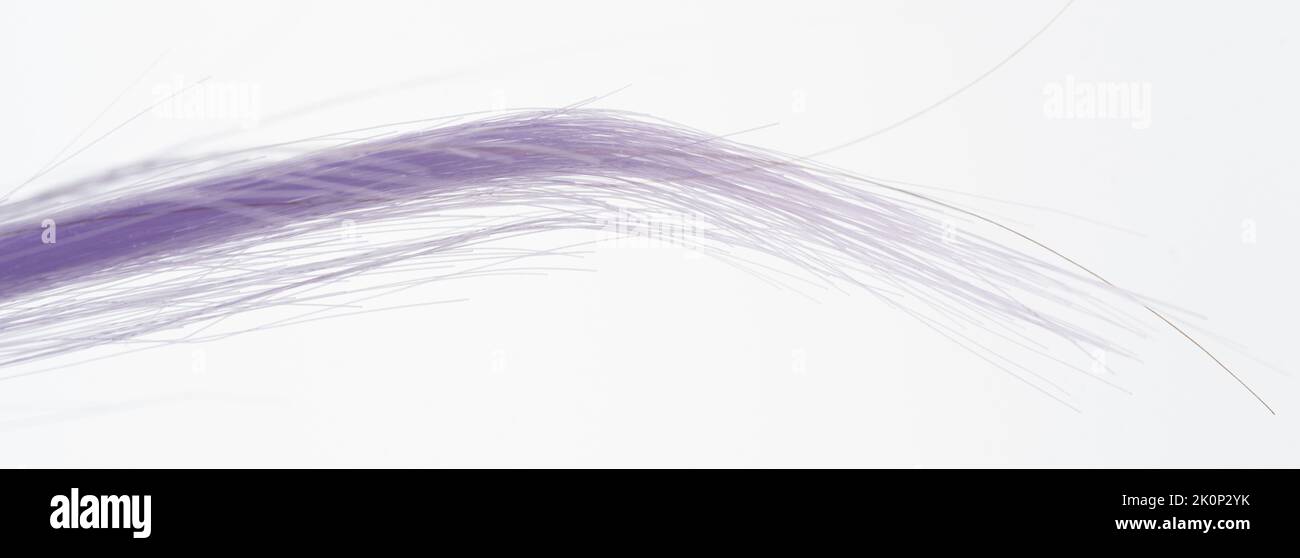 Purple hair strand macro close up view isolated Stock Photo - Alamy