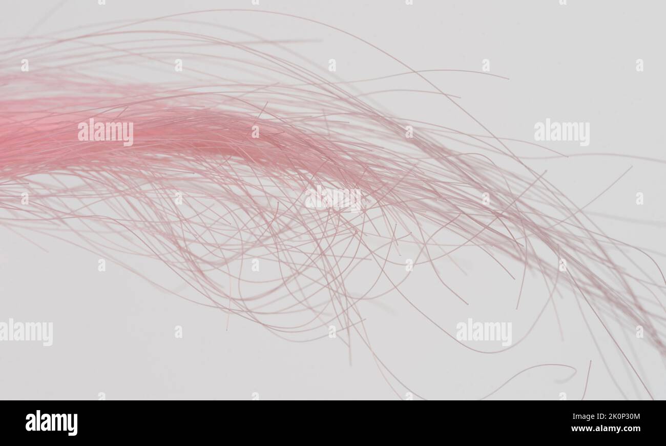 Curly messy pink color hair ends isolated on white studio background ...