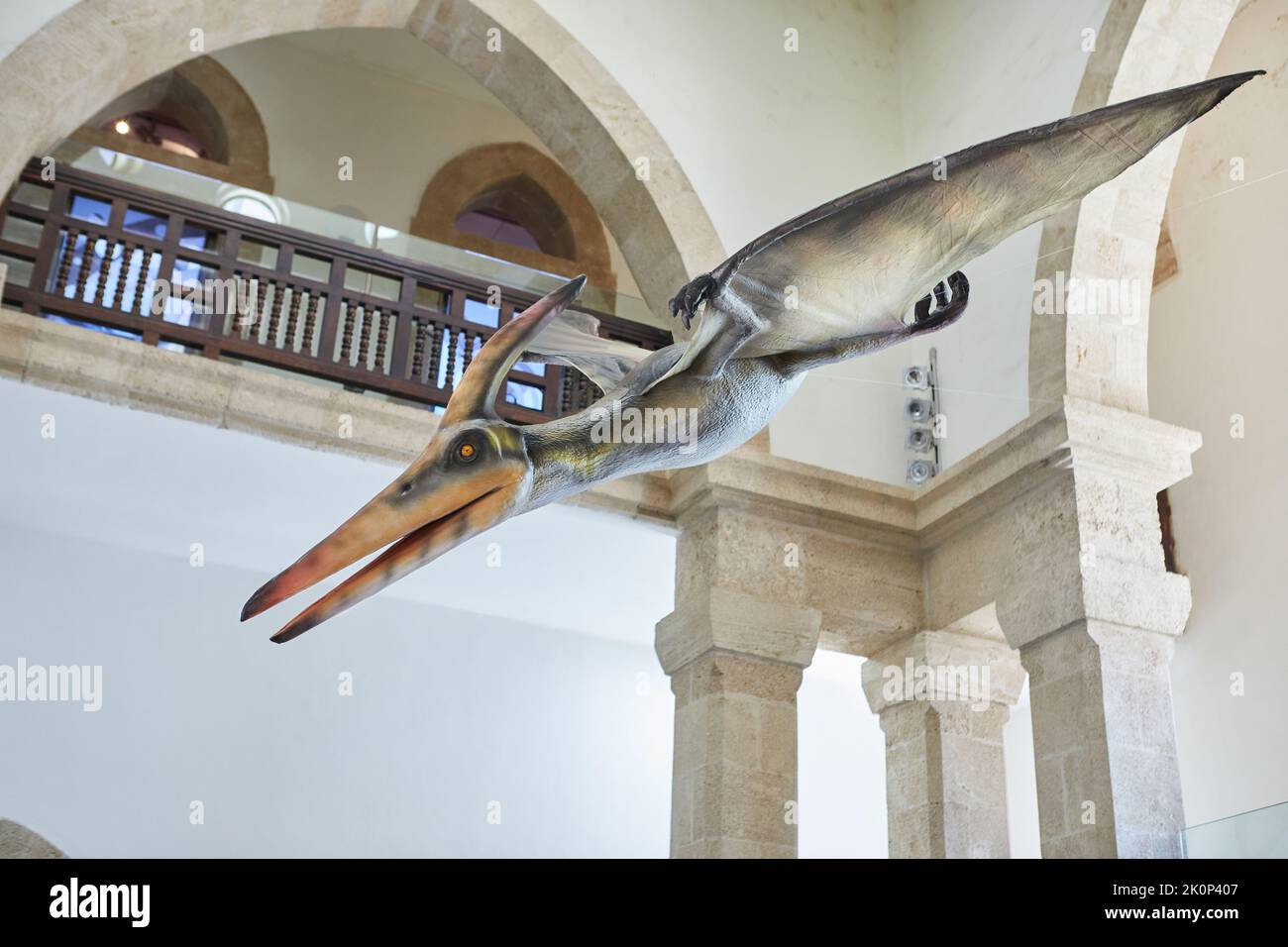 Prehistoric flying lizards hi-res stock photography and images - Alamy