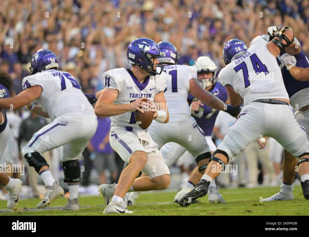 Tarleton state hi-res stock photography and images - Alamy