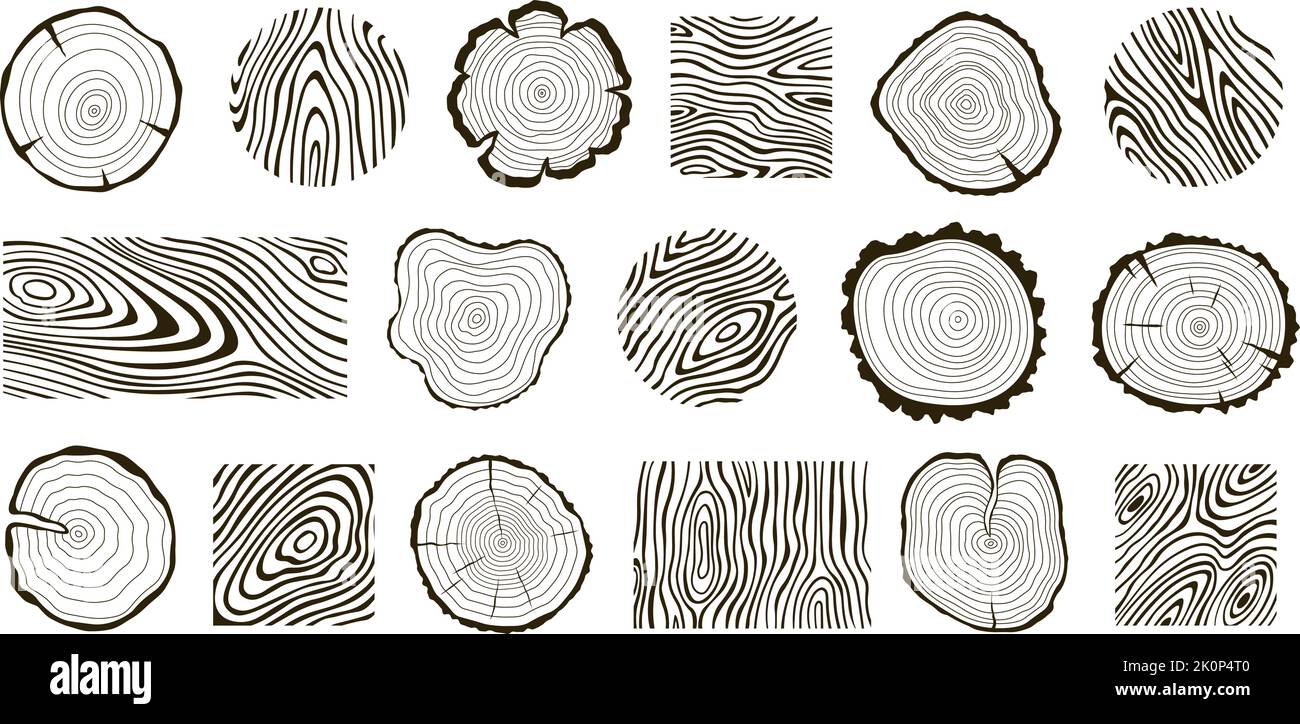 Wooden logs textures. Wood concepts graphics, lumber circles top view ...