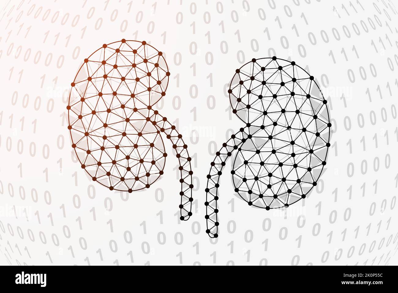 Kidneys 3d low poly symbol with binary code background. Urinary design ...