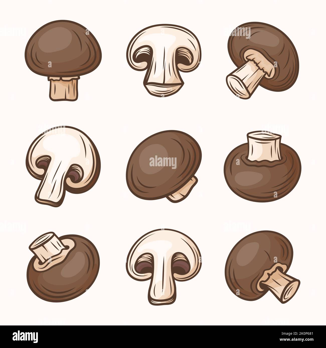 Vector Hand Drawn Brown Champignon Set. Cartoon Champignon Mushrooms ...