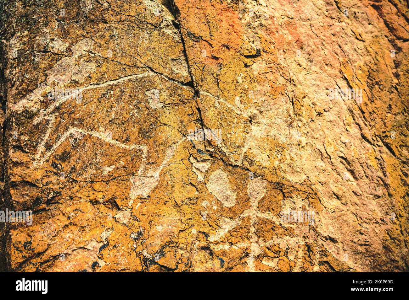 Archaeological rock petroglyphs of animals and people in the tract ...