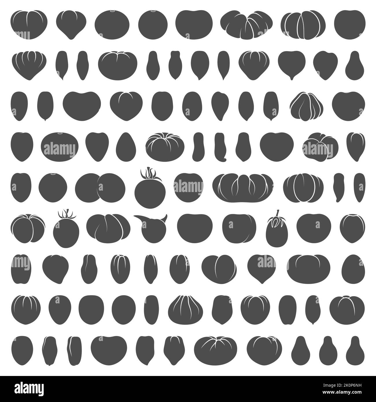 Set of black and white illustrations with tomatoes of various varieties ...