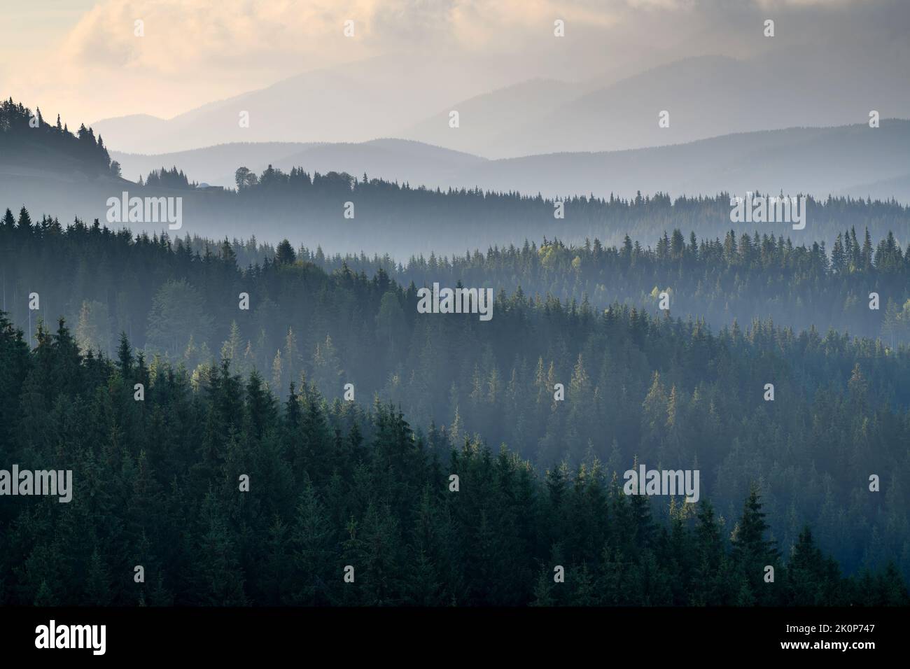 Majestic view on beautiful fog and cloud mountains in mist landscape Stock Photo - Alamy
