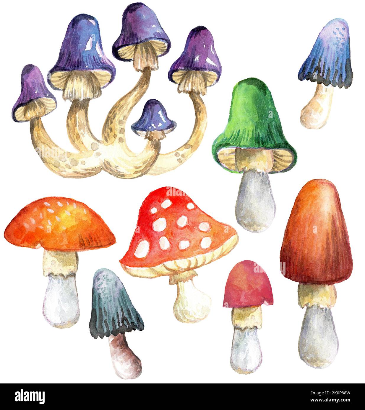 Watercolor illustration set of different fantasy mushrooms. Halloween ...