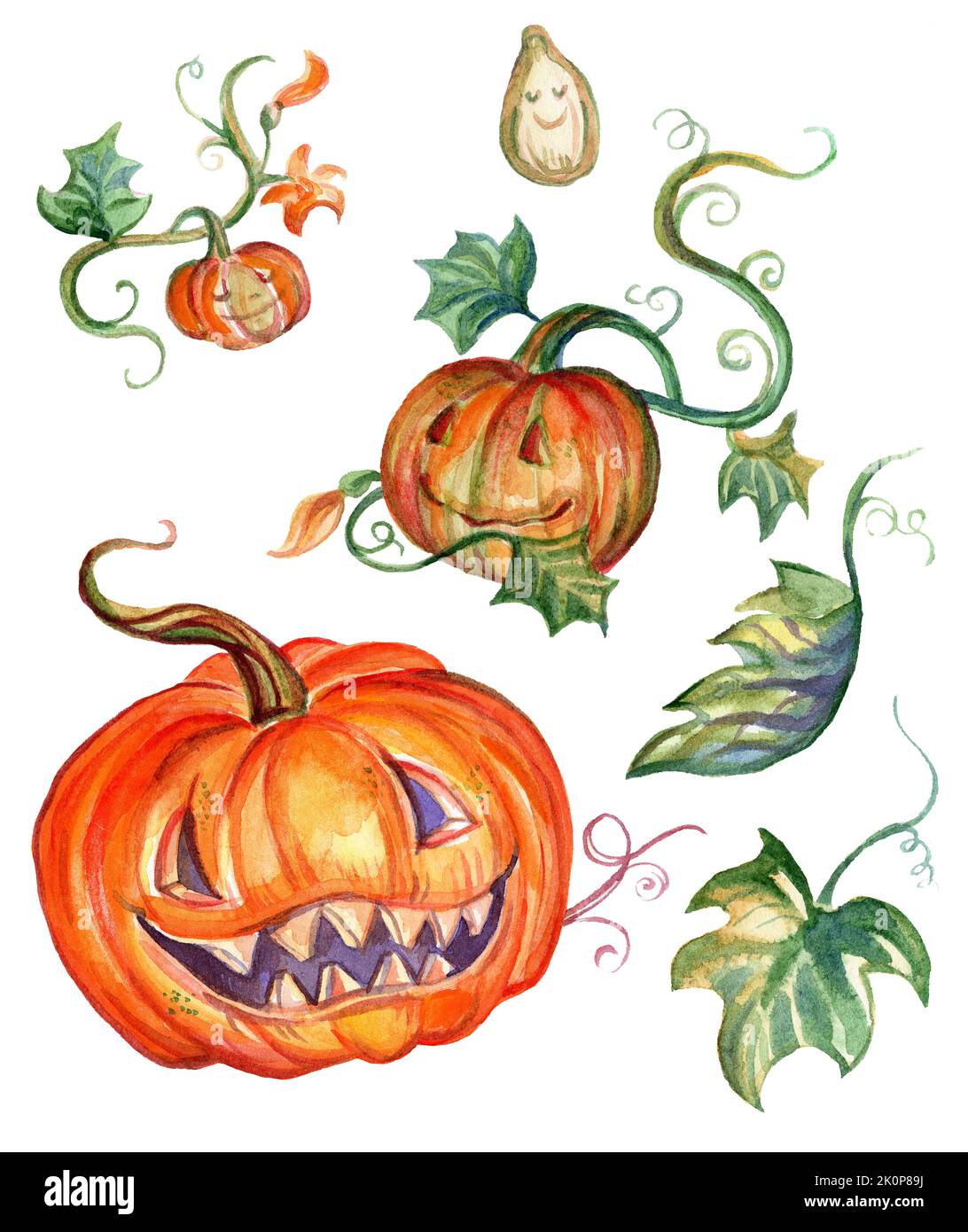 Evolution of the growth of the Halloween pumpkin. Halloween ...