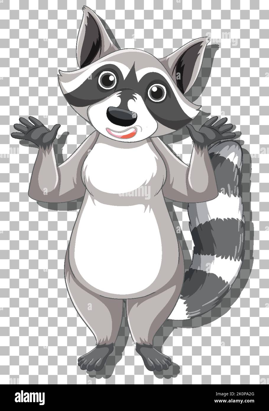 Raccoon cartoon character isolated illustration Stock Vector Image ...