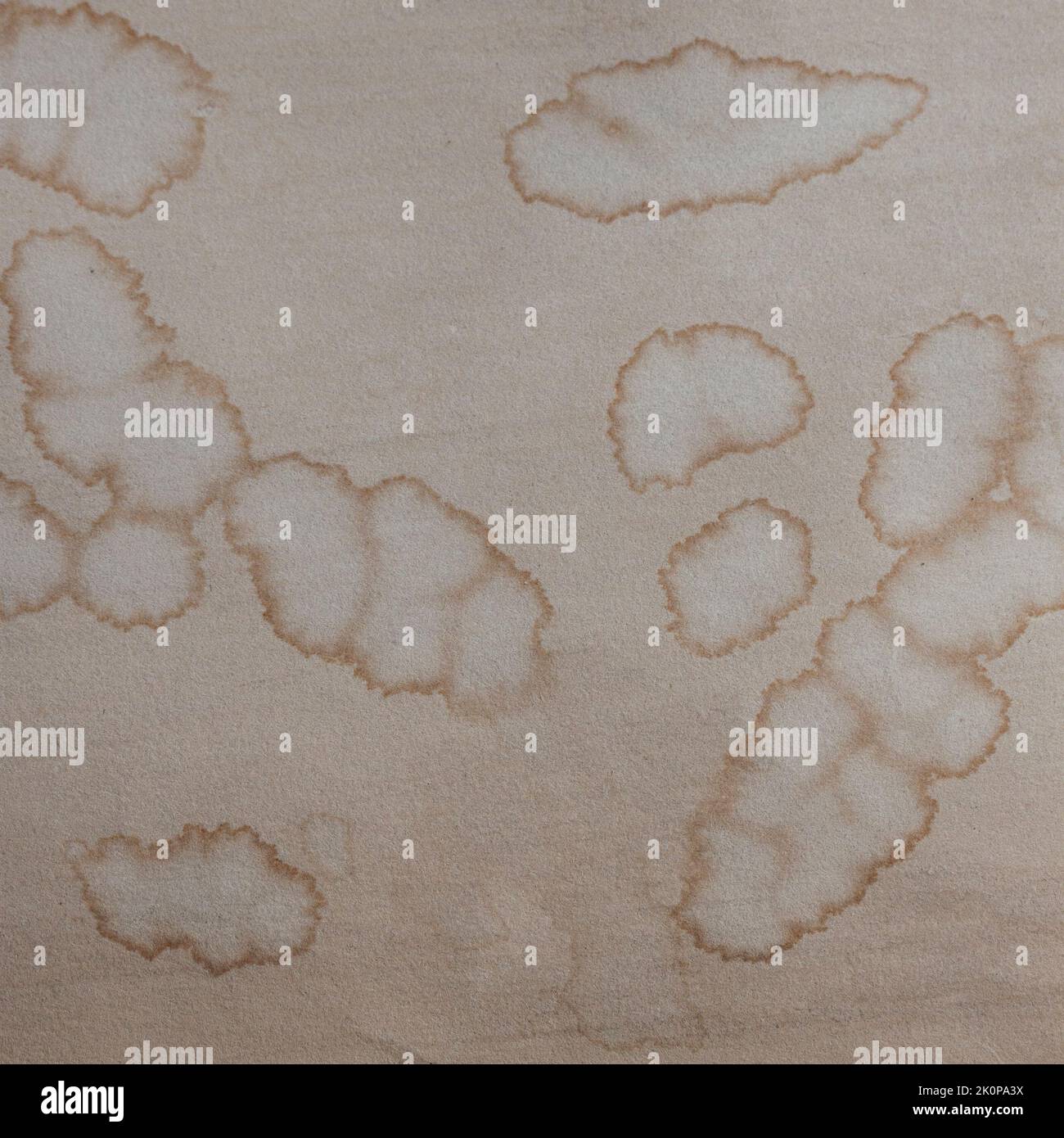 Old dirty paper texture, dirt stains, spots, background, vintage ...