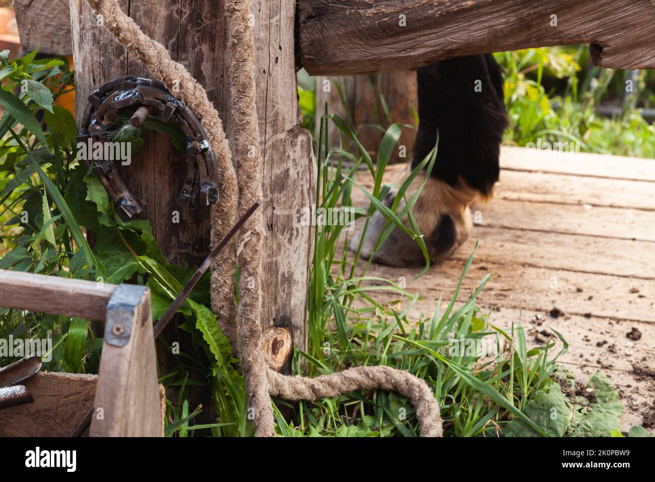 Wooden shoe farm hi-res stock photography and images - Alamy