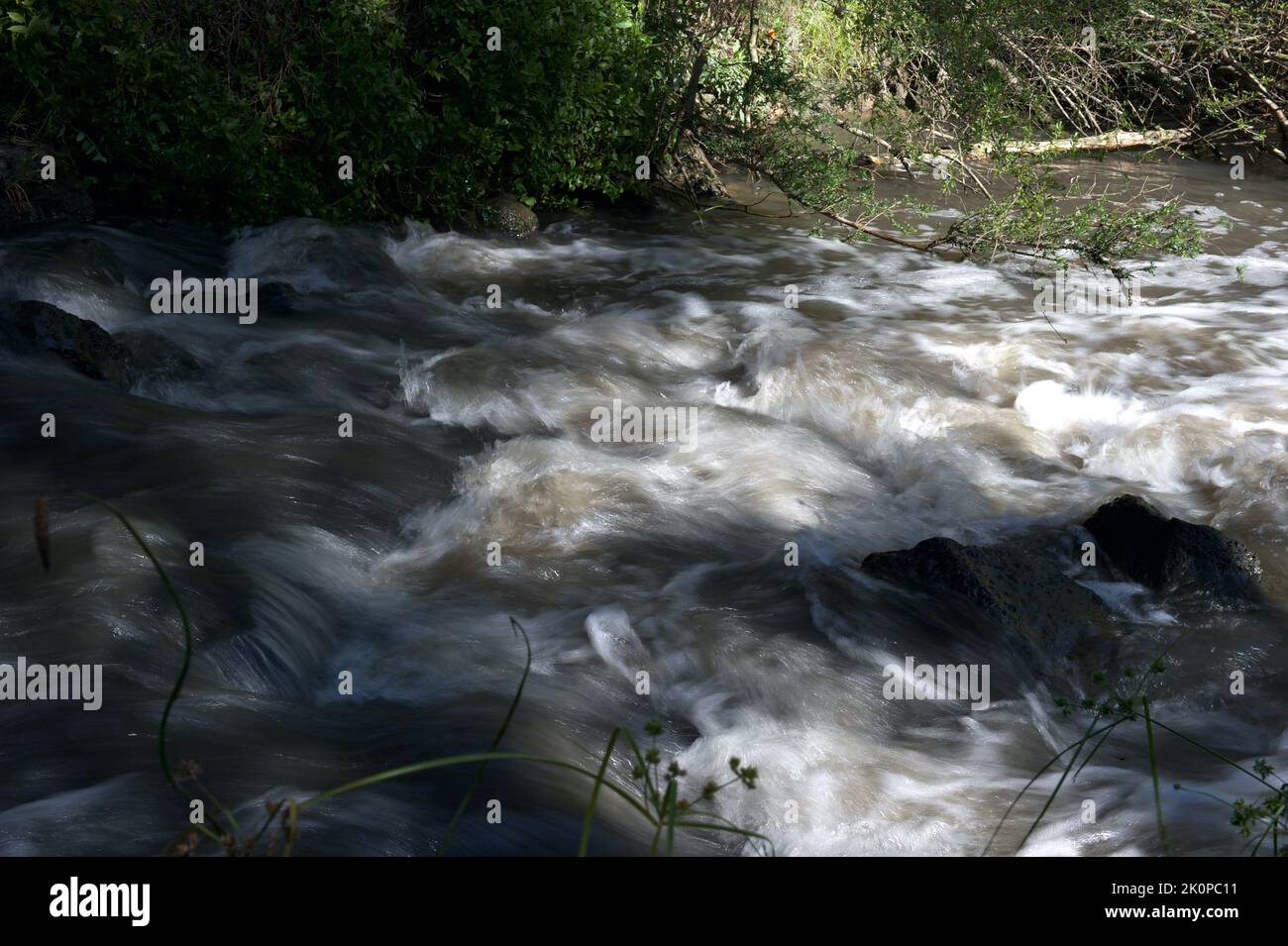 Marysville state forest hi-res stock photography and images - Alamy