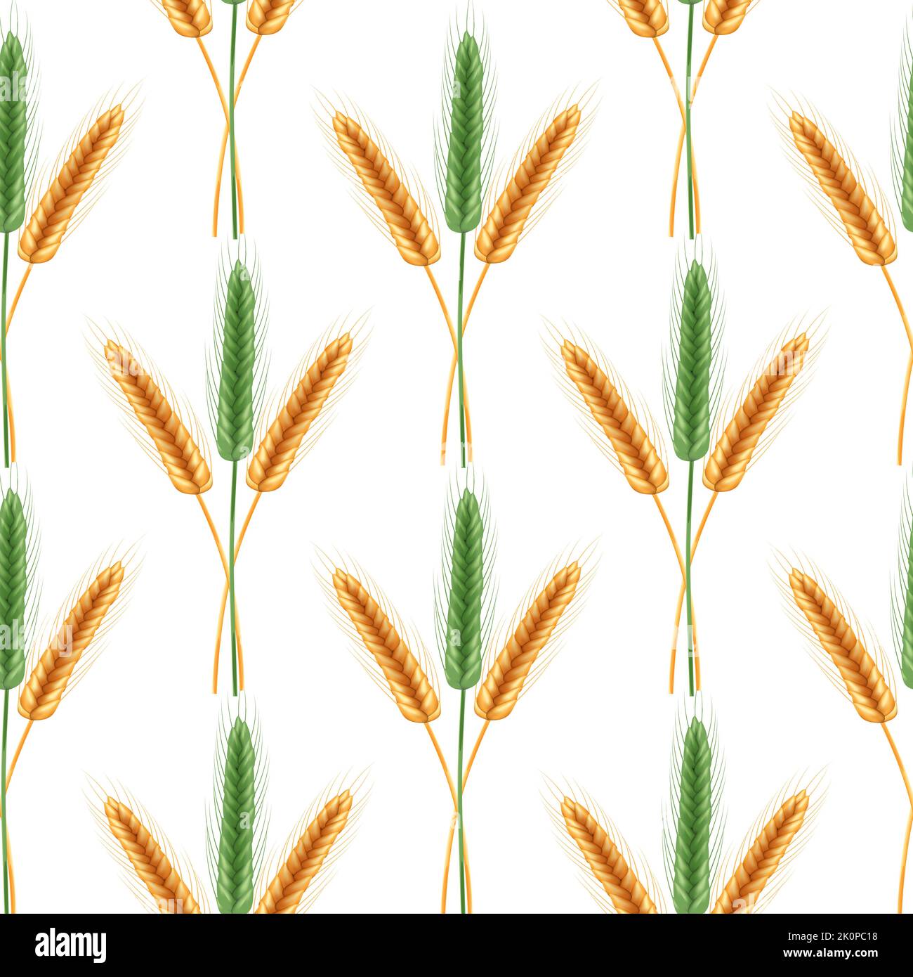 Realistic illustration of seed plants,organic farming farming.Seamless ...