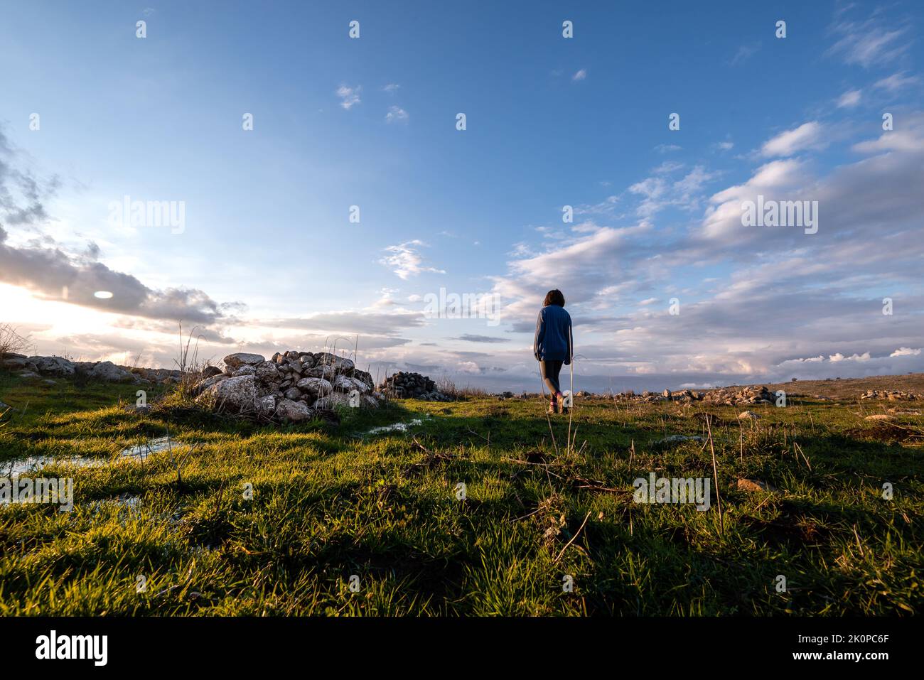Israely nature hi-res stock photography and images - Alamy