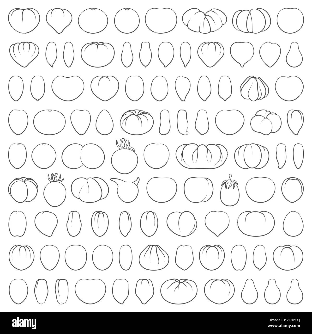 Set of black and white illustrations with tomatoes of various varieties ...