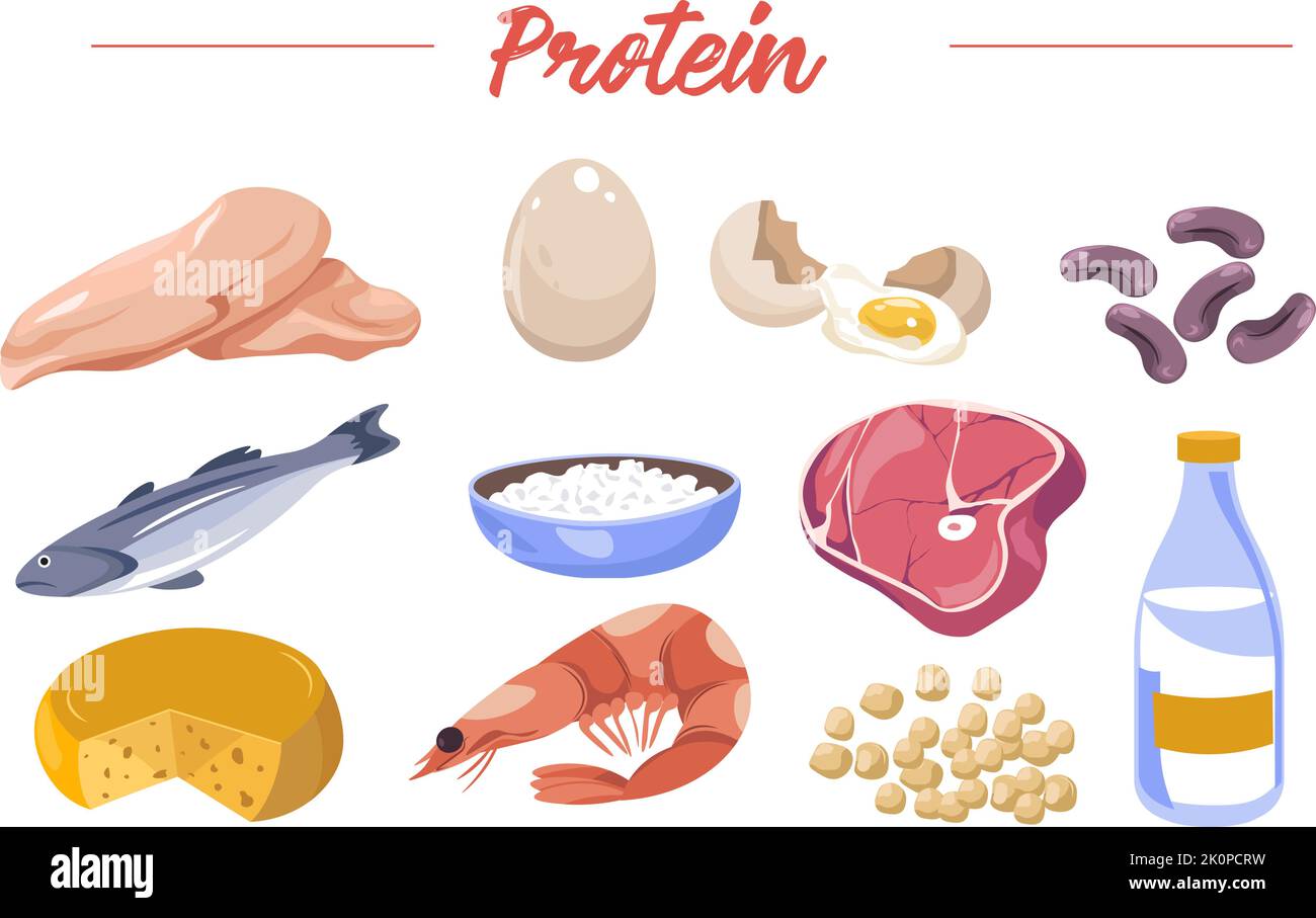 Protein rich food, meat and nuts, eggs and milk Stock Vector Image ...