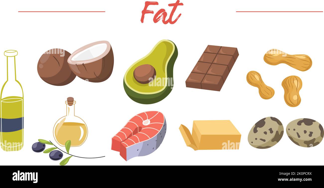 Eating products, food balanced dieting nutrition Stock Vector Image ...