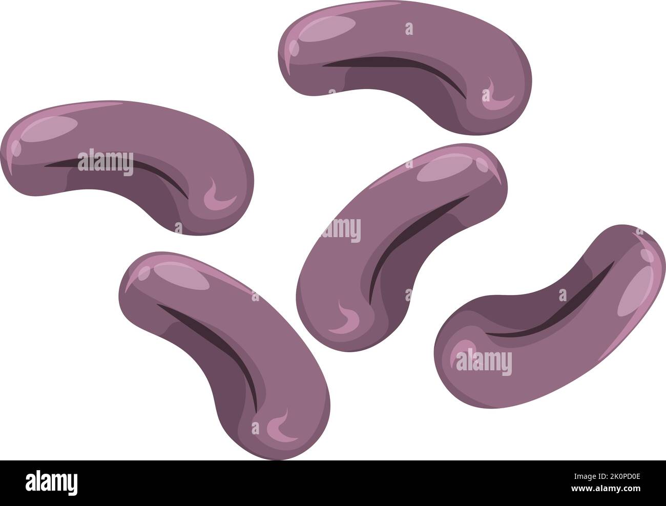 Beans grown on farm, raw organic product vector Stock Vector Image ...