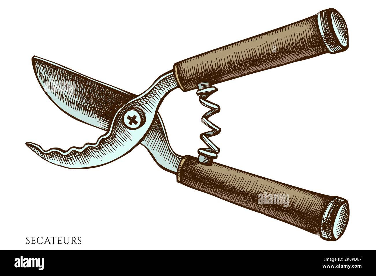 Gardening hand drawn vector illustrations collection. Colored secateurs ...