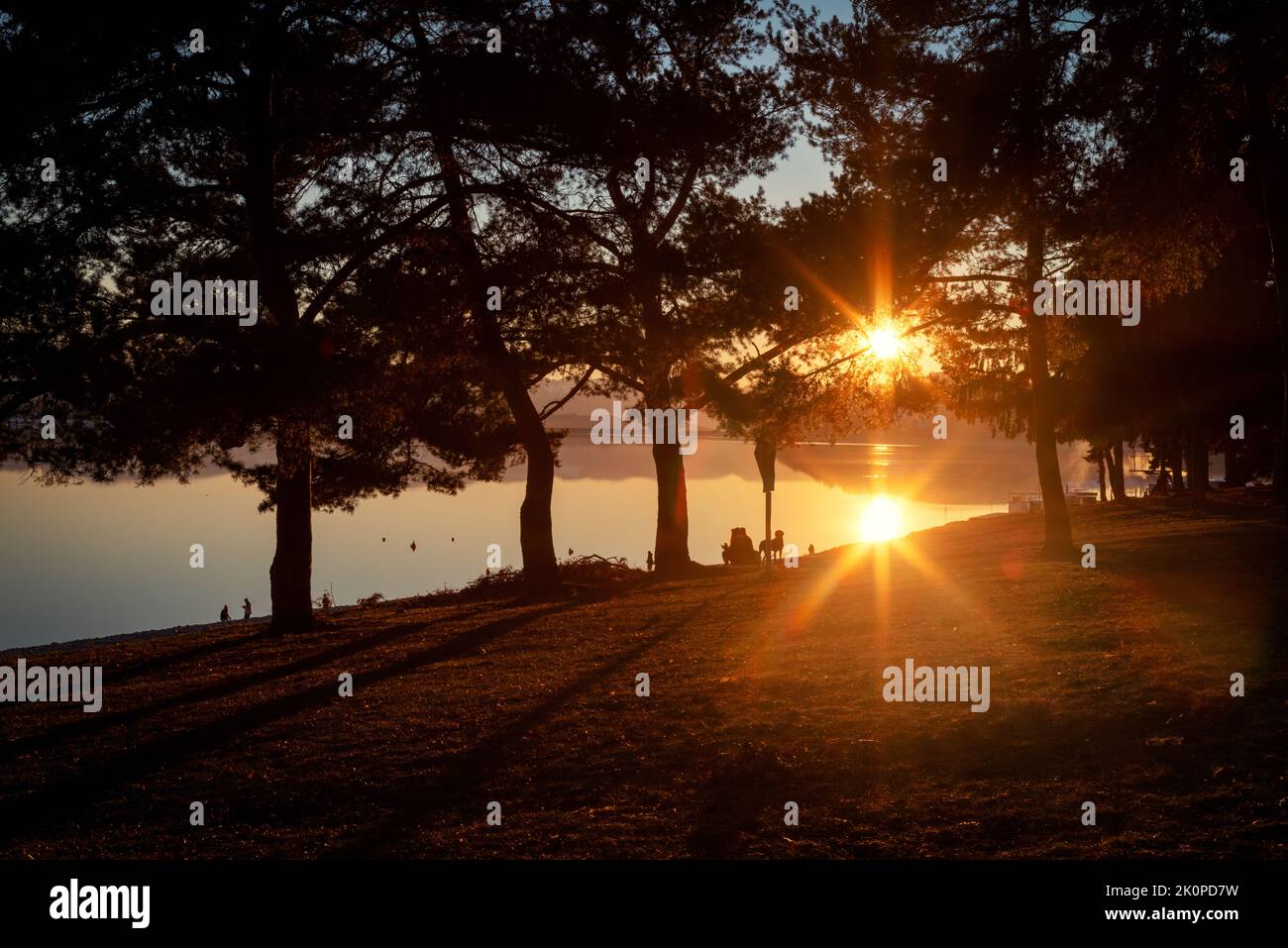 Reflection of sun on water surface. Golden hour and sunset on lake ...