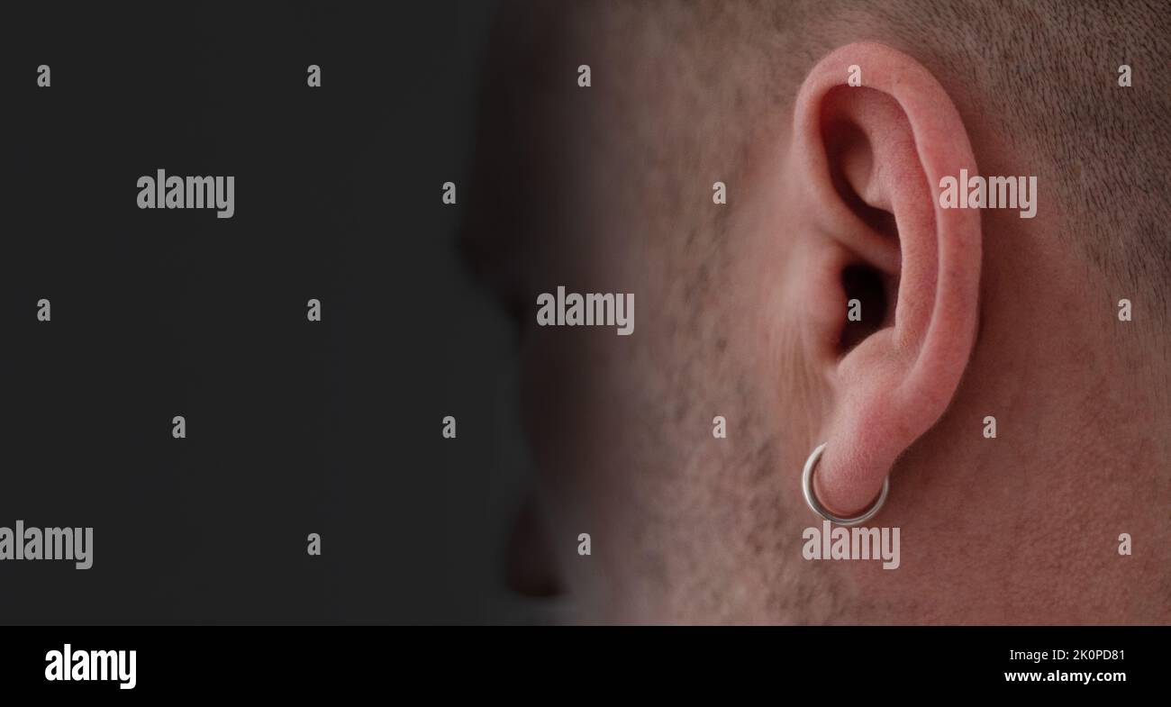 Earring in the ear, Close-up, Piercing in the ear Men. Silver earring ...