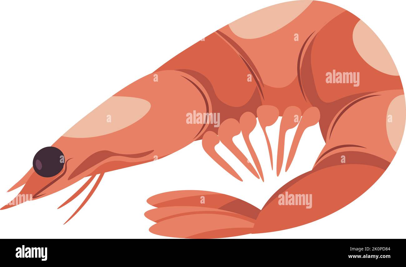 Prawn or shrimp, seafood meal and food vector Stock Vector Image & Art ...