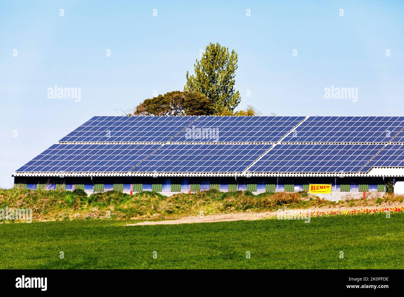 Barn with photovoltaic system, farm in Dithmarschen Stock Photo - Alamy
