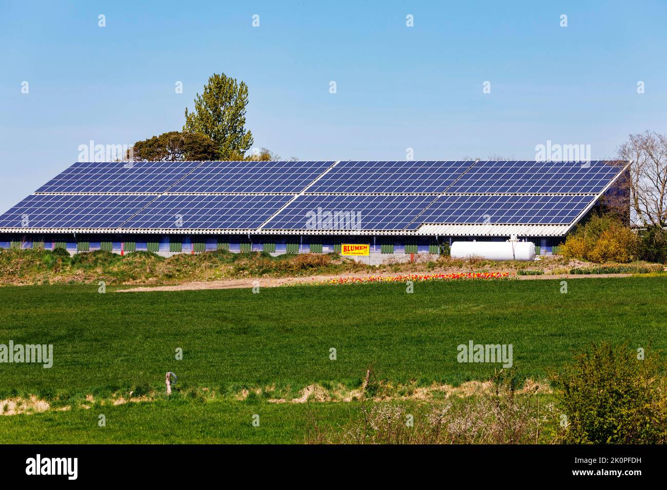 Barn with photovoltaic system, farm in Dithmarschen Stock Photo - Alamy