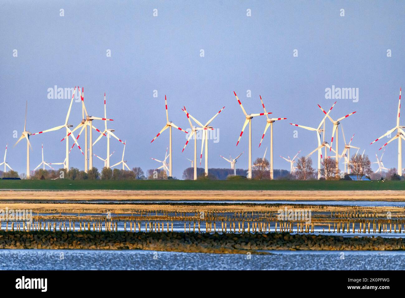 Wind farm behind the dike, Friedrichskoog in the evening on the North ...